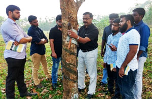 Dr. S.Sathik Basha-Physics - B. S. Abdur Rahman Crescent Institute Of ...